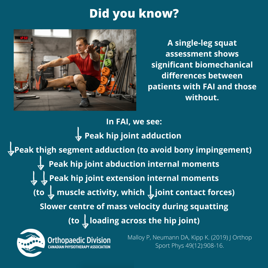 Risk Factors of FAI - National Orthopaedic Division of the Canadian ...