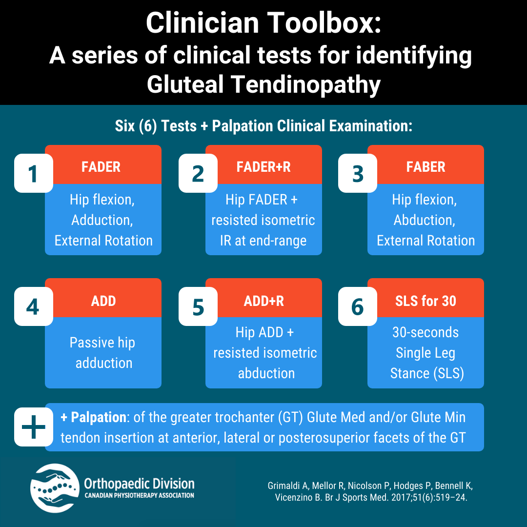 Clinician Toolbox: A series of clinical tests for identifying Gluteal ...